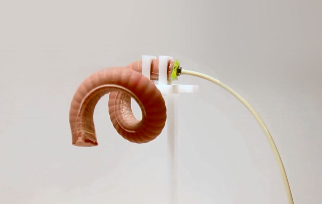 Engineers Control Soft Robots With Magnetic Fields — Born To Engineer