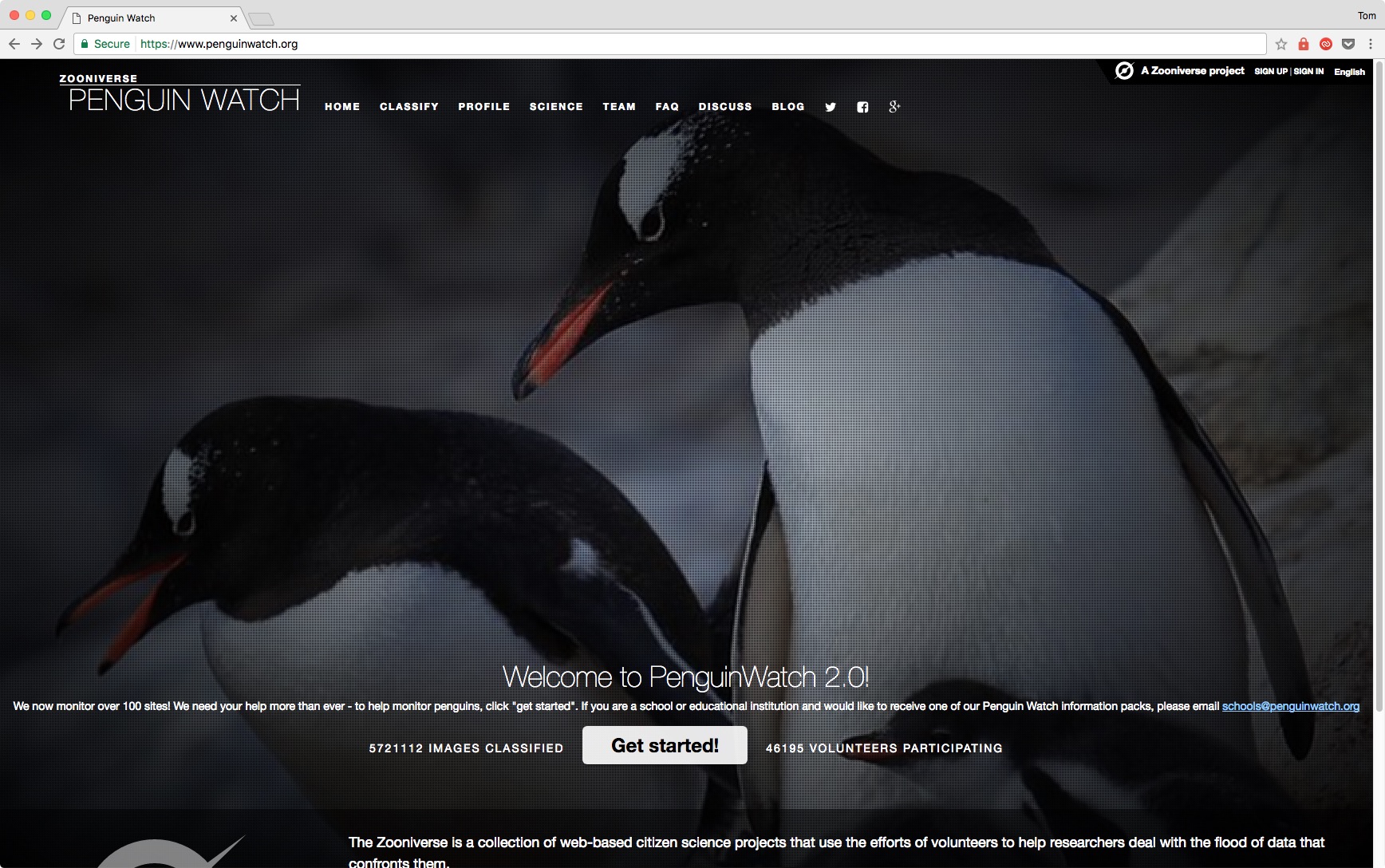 World Penguin Day 2017: How Engineering Combined With ‘people Power ...