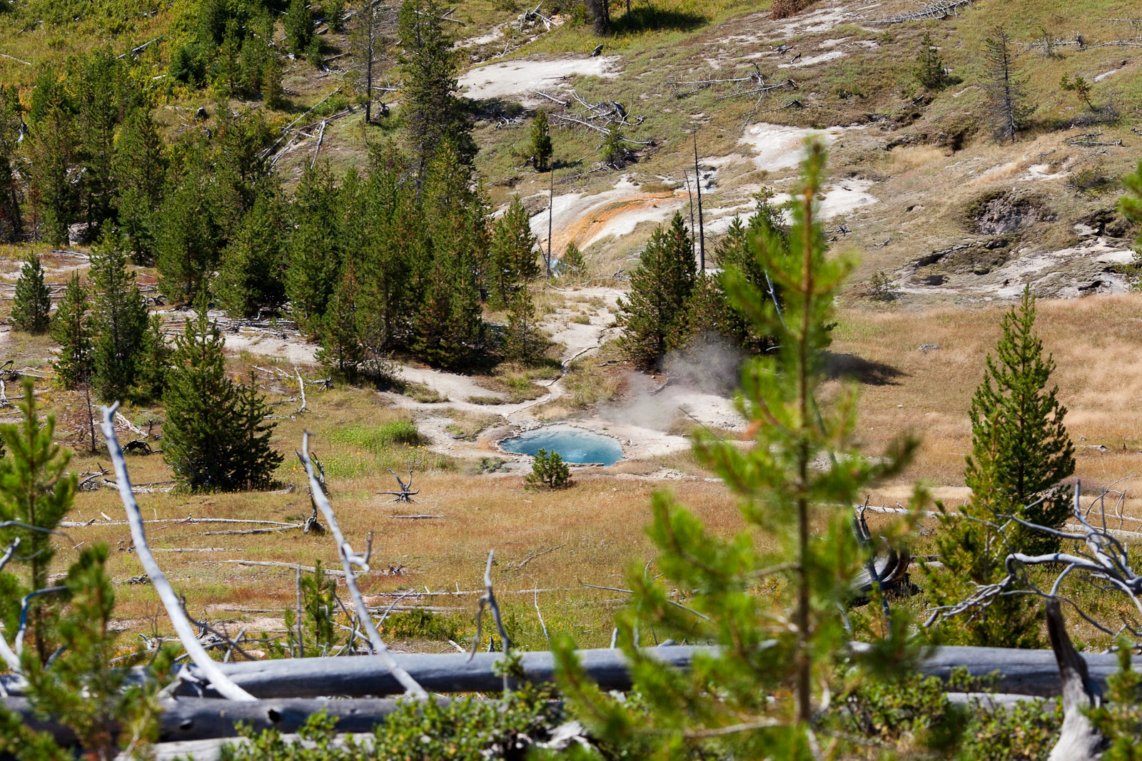 Meet The Bacteria That Eat Pollution And Breathe Electricity — Born To ...